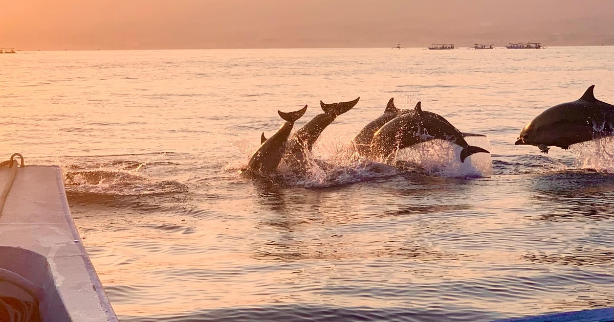 North Bali : Lovina Dolphins and Ulun Danu Temple | GetYourGuide
