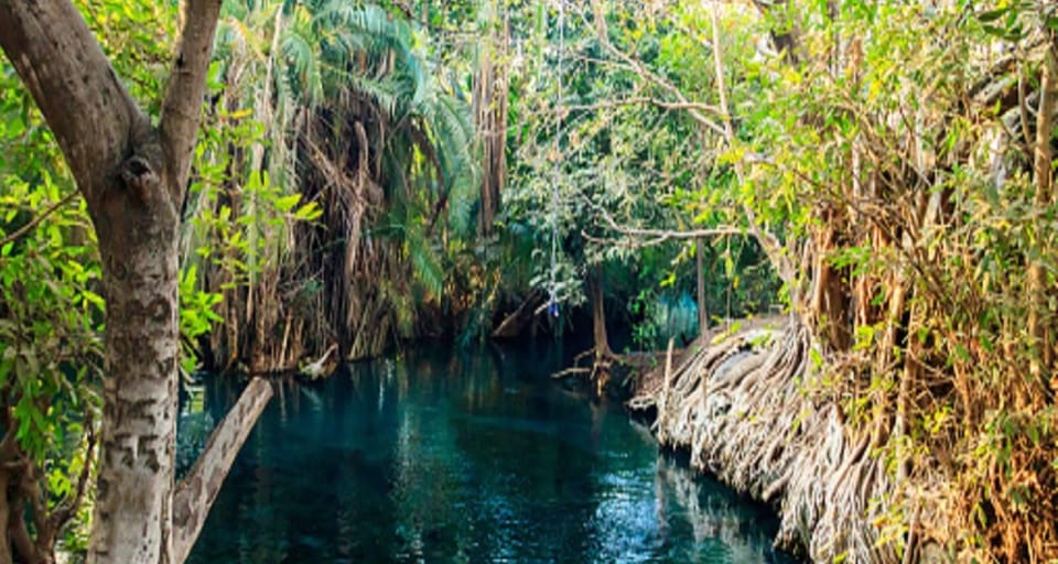 Materuni Waterfalls, Coffee, and Hotsprings Tour | GetYourGuide