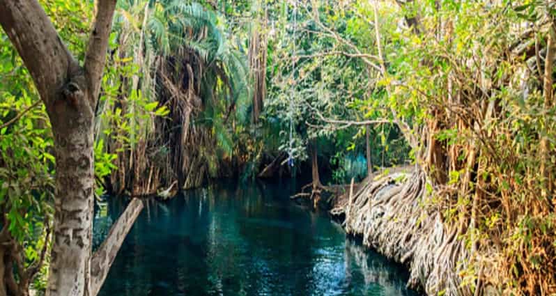 Chemka oder Kikuletwa Hot Springs | GetYourGuide