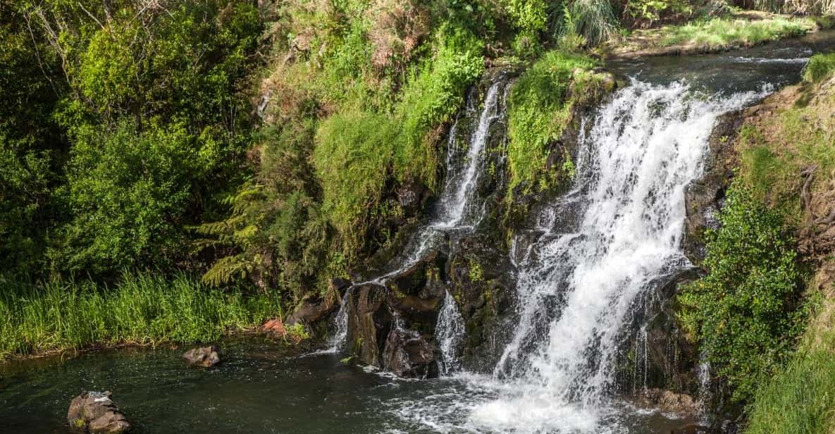 Auckland Waterfall Tour | GetYourGuide