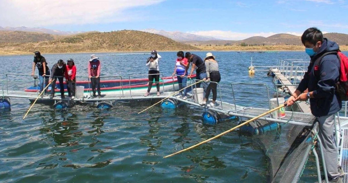 Excursion to the Chapi Sanctuary and Uzuña Lagoon | GetYourGuide