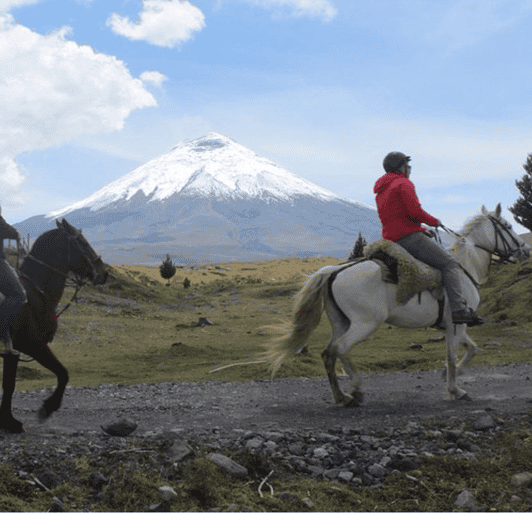 Quito: Cotopaxi National Park Horseback Riding with Lunch | GetYourGuide