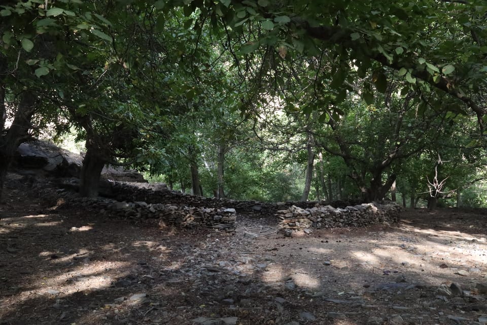 Undiscovered Uzbekistan – Ukhum Village Tour from Samarkand | GetYourGuide