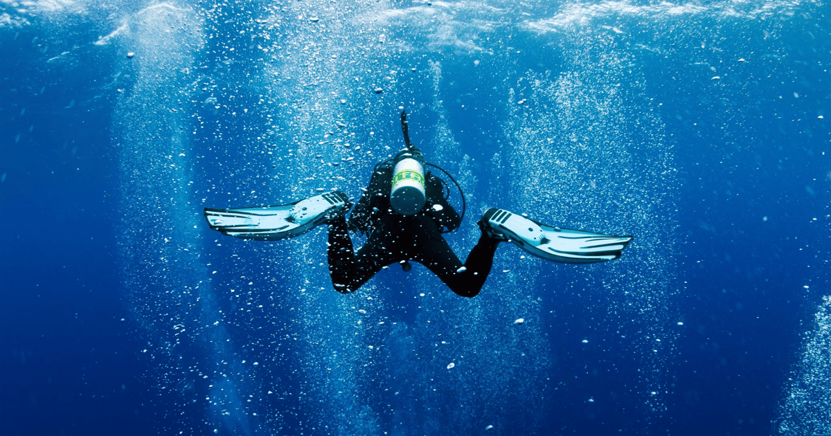 Ensenada: Aventura de buceo en barco a lugares exclusivos | GetYourGuide