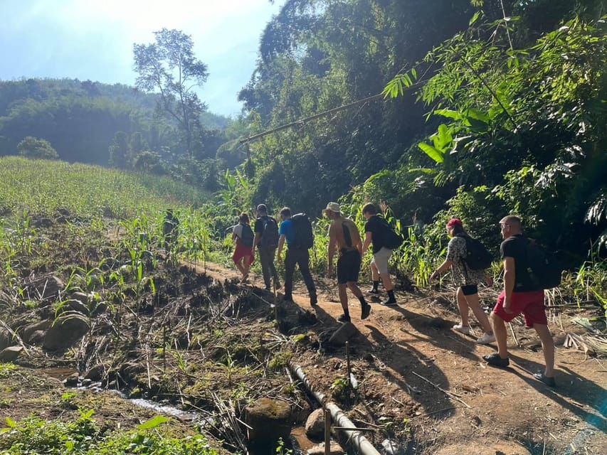 Chiang Rai: Jungle Adventure-Group Trekking & Bamboo Cooking | GetYourGuide