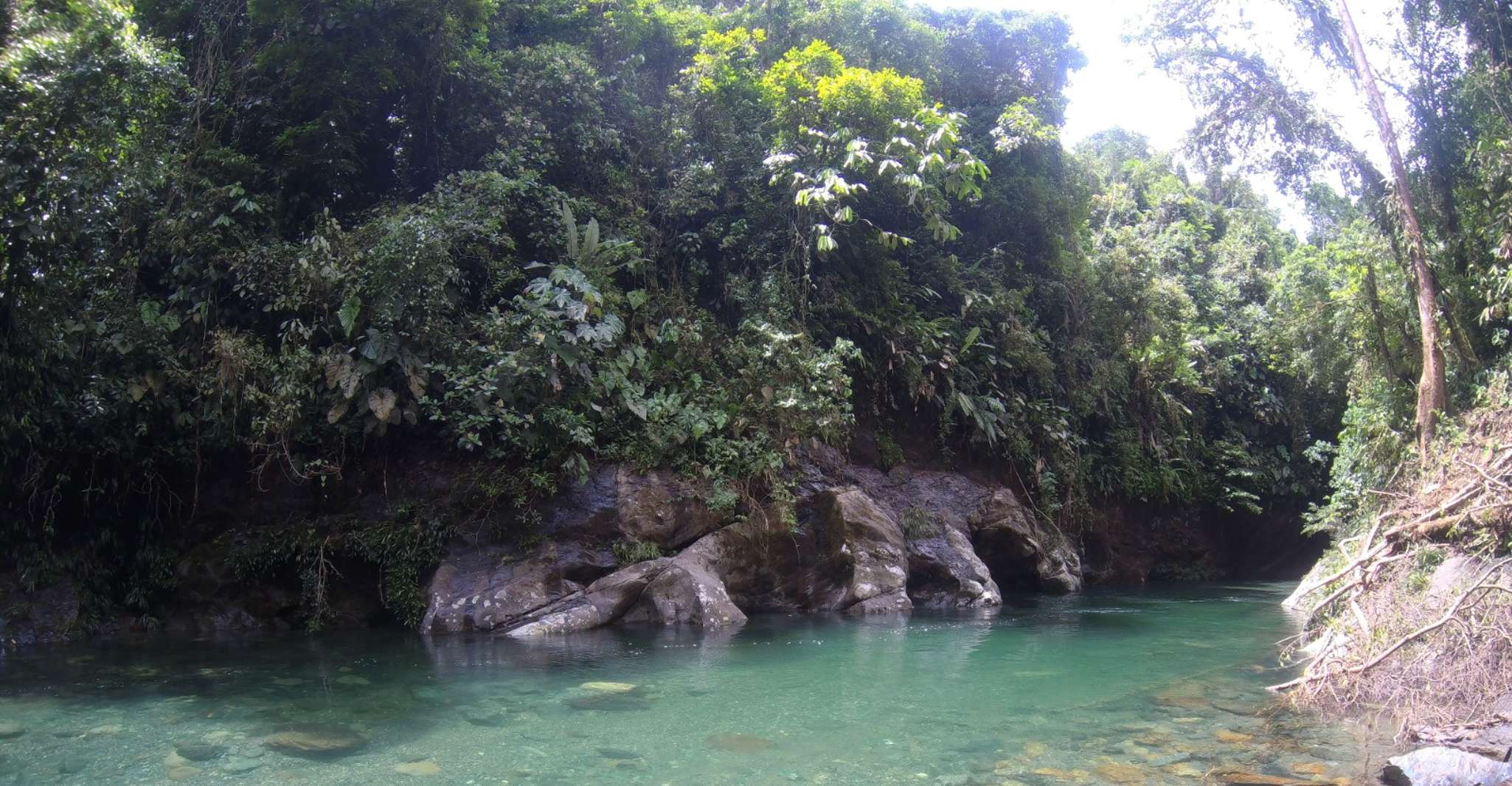 Crystal River, crystalline waters, stunning landscapes | Water Activity ...