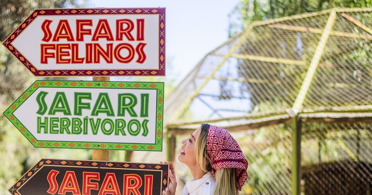 Parque Safari: Aventura Selvagem de Perto com Animais Incríveis ...