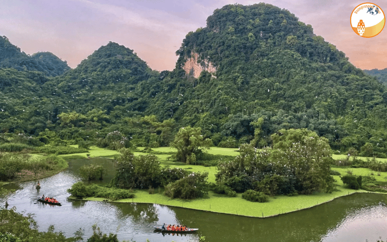NINH BINH DAY TRIP: HOA LU,MUA CAVES &THUNG NHAM BIRD VALLEY | GetYourGuide