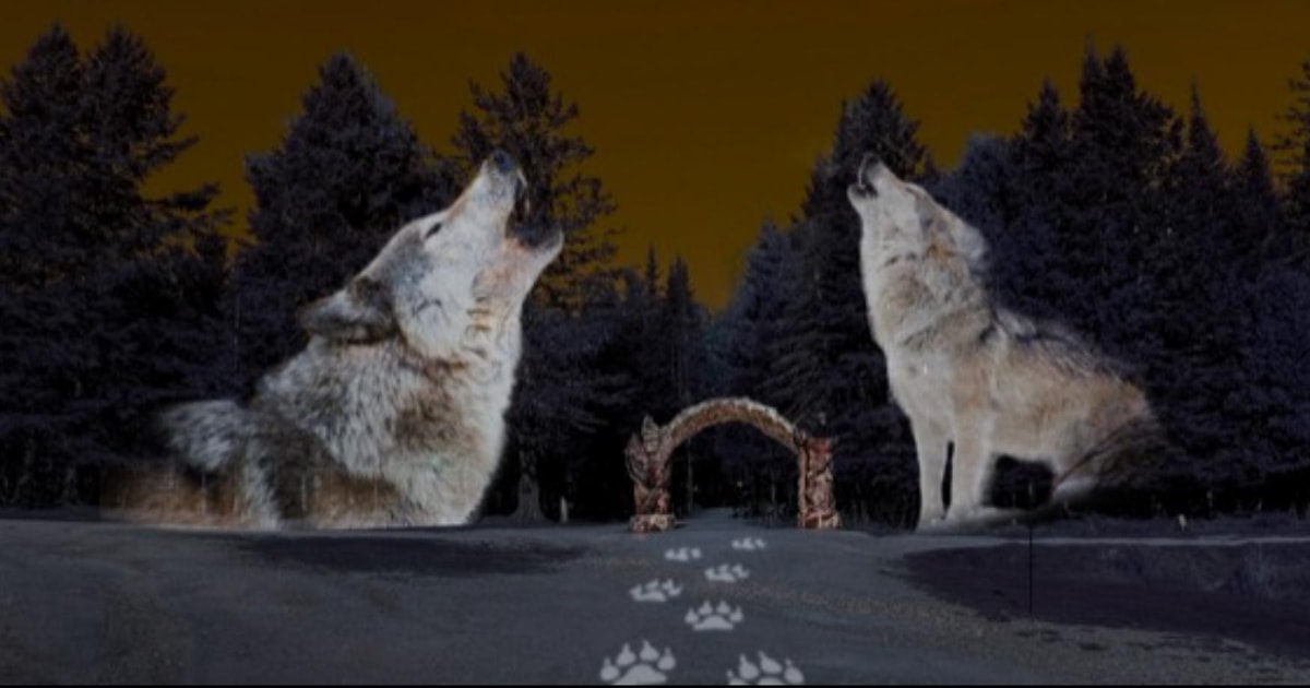 Montebello, QC: Parco Omega ONIRO Immersive Experience at Night ...