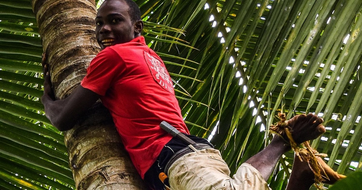 Zanzibar : forêt de Jozani, île-prison et visite d'une plantation d ...