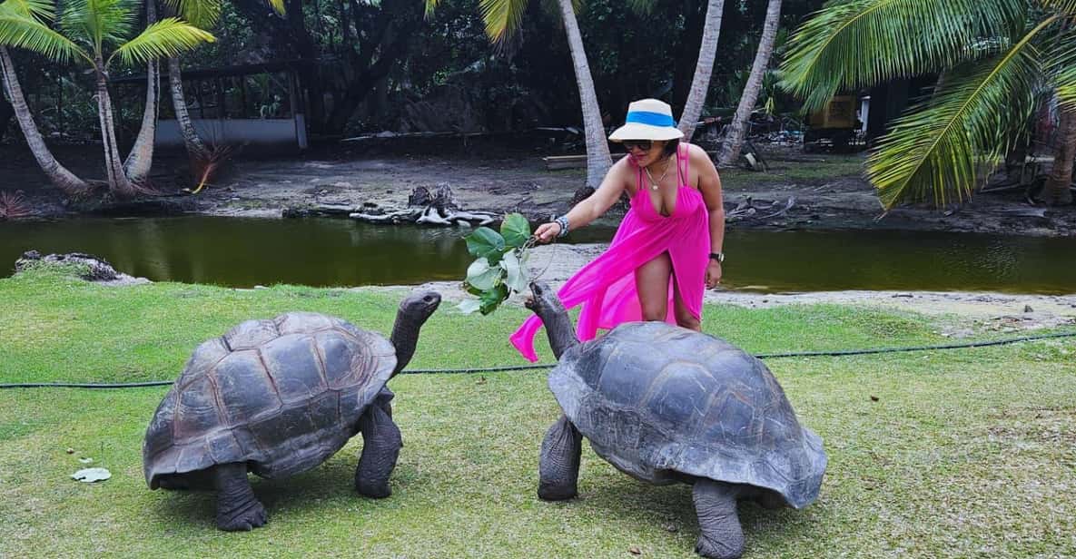 "Aventura nas ilhas Curieuse e St-Pierre: com crioulo, churrasco ...