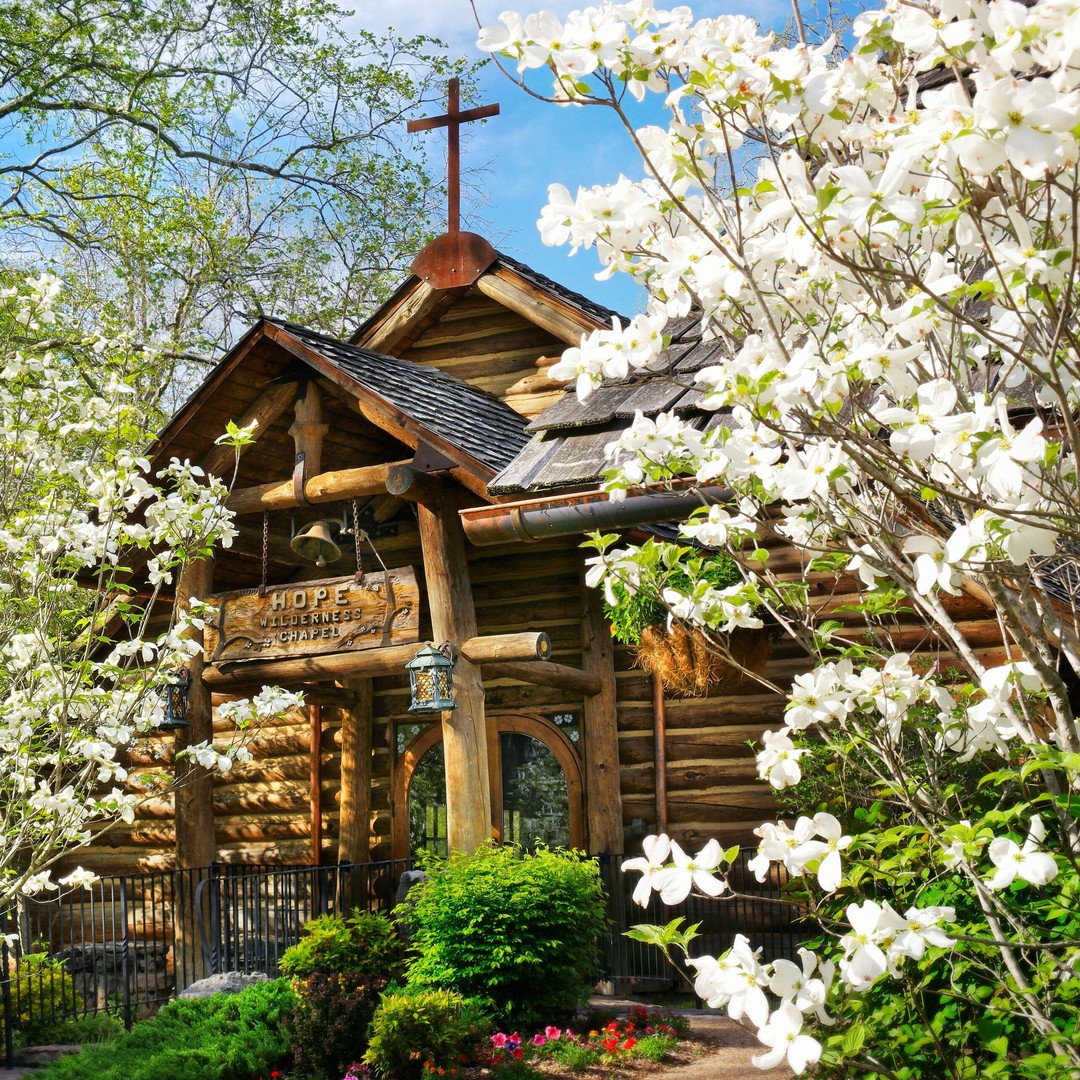 Branson: Dogwood Canyon Nature Park | GetYourGuide