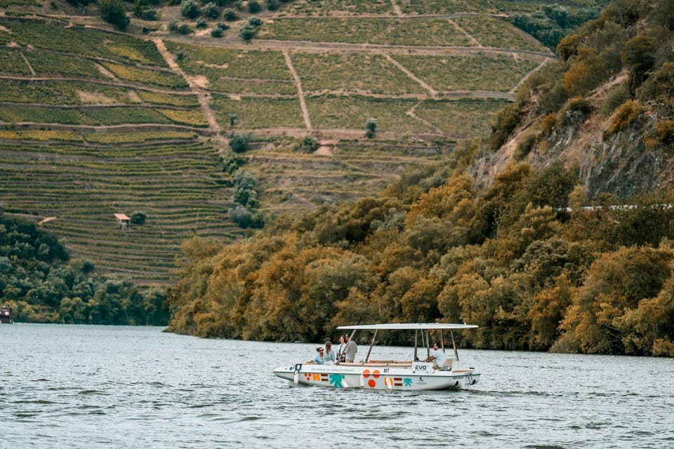 Pinhao: Douro River Electric Boat Tour with Wine Tasting | GetYourGuide