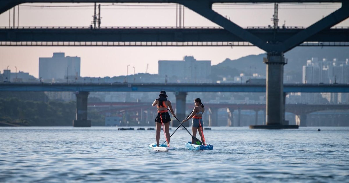Seúl: Excursión guiada en remo por el río Han | GetYourGuide