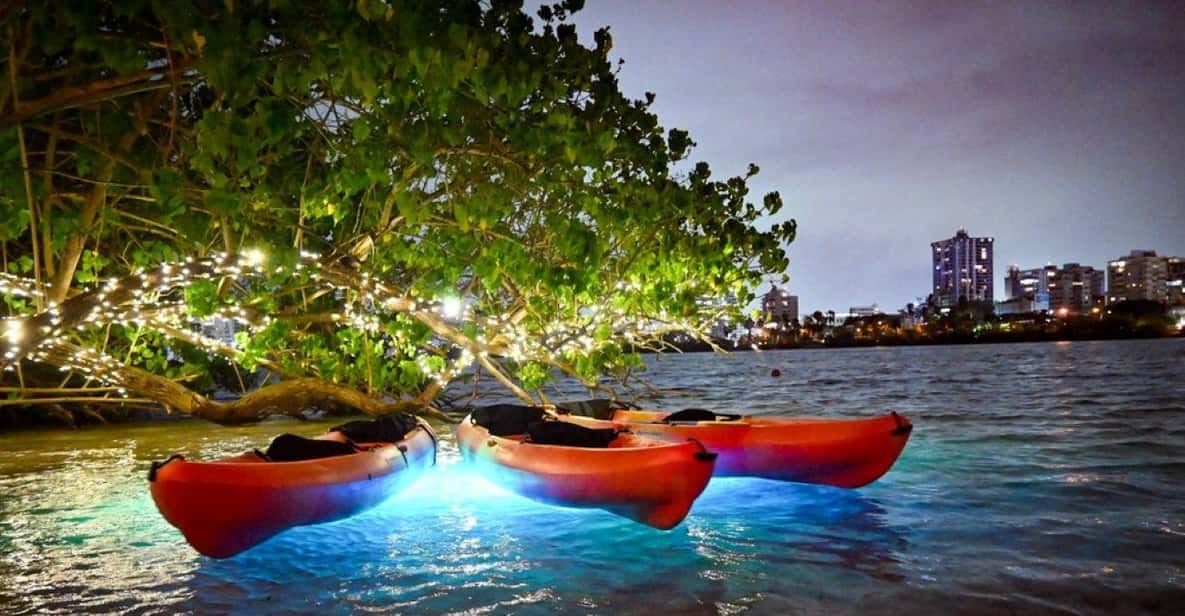 San Jose: Romantic Night Experience for 2 with Lights Kayak | GetYourGuide