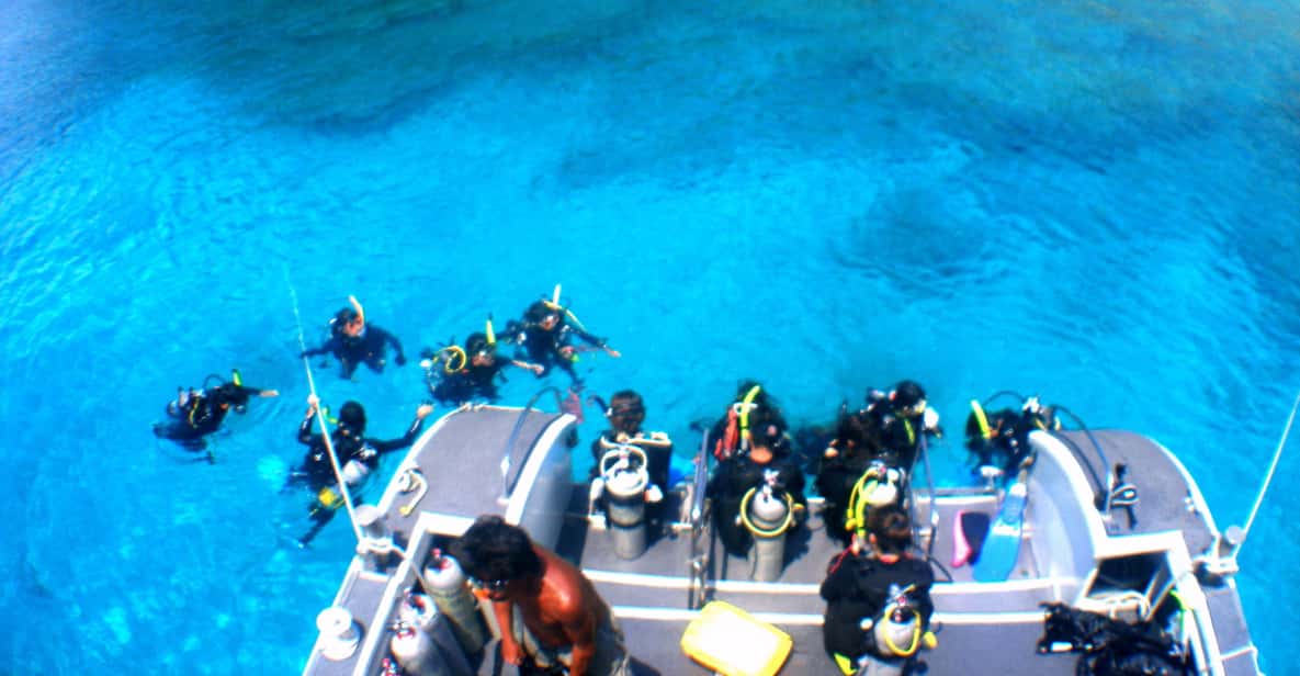 Okinawa : depuis Naha : excursion de plongée avec tuba d'une journée aux îles Kerama | GetYourGuide