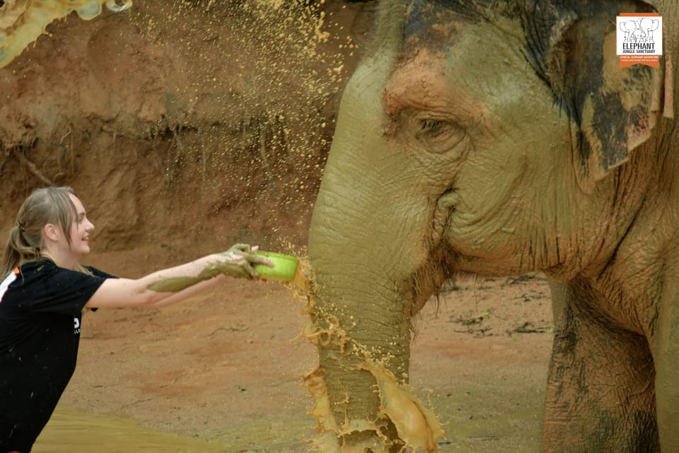 Phuket: Elephant Jungle Sanctuary Half-Day Visit | GetYourGuide