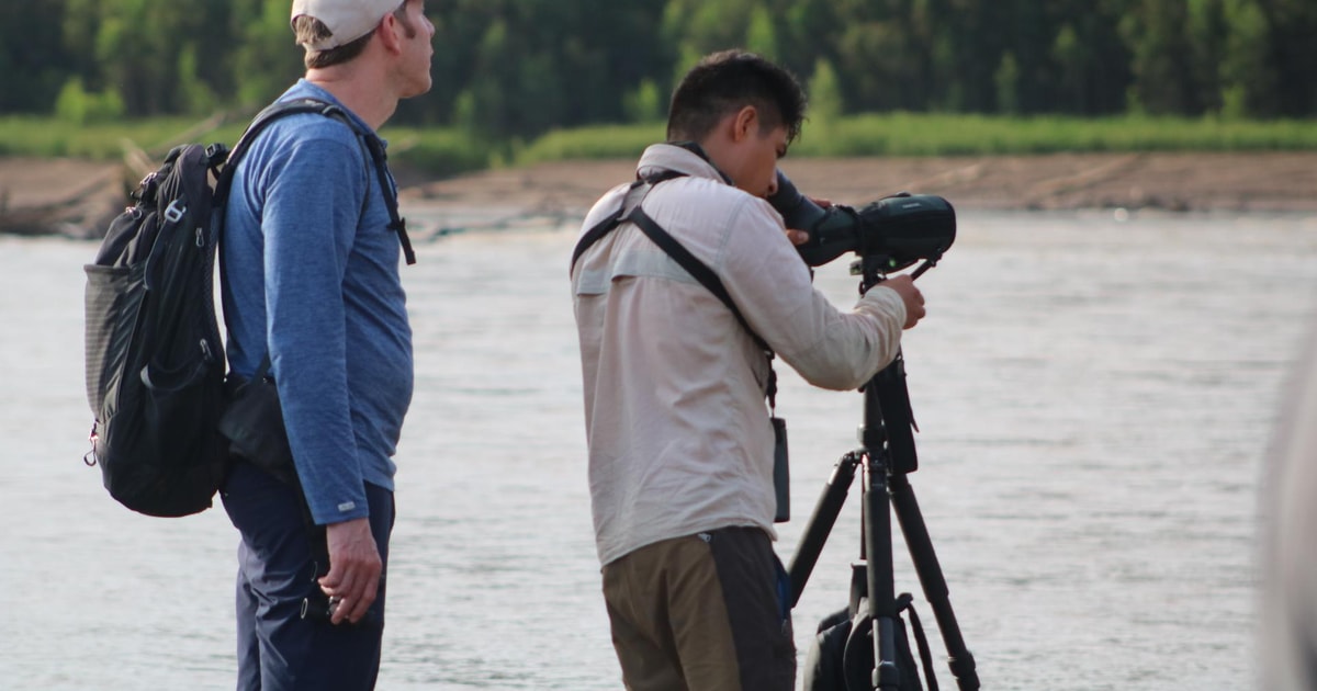 Excursion in the amazon 4d /3 nights | GetYourGuide