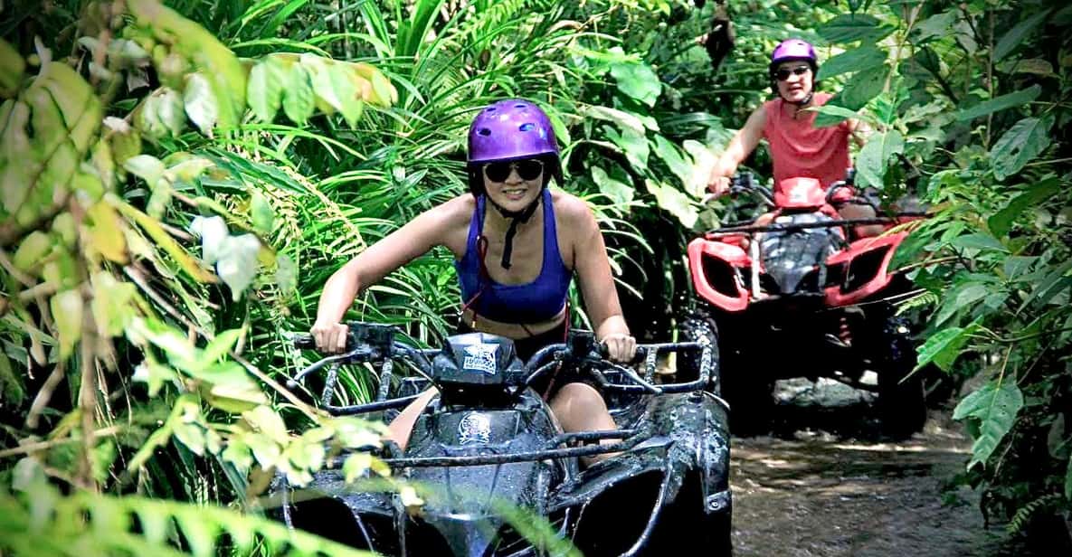 Ubud: Waterfall, ATV Quad Bike and Monkey Forest Tour | GetYourGuide