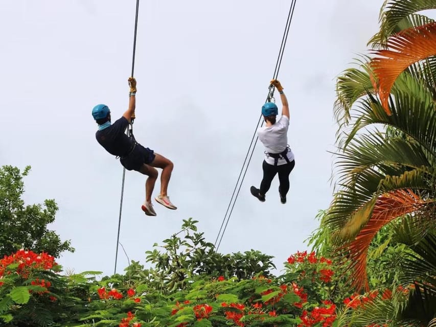 Río Grande: Rainforest Zipline Experience | GetYourGuide