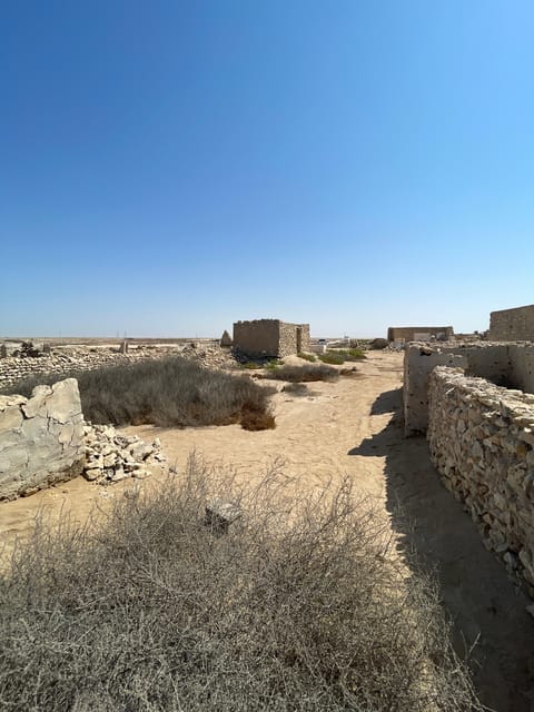 North of Qatar: Olafur Eliasson Exibit, Zubara fort & jumail | GetYourGuide