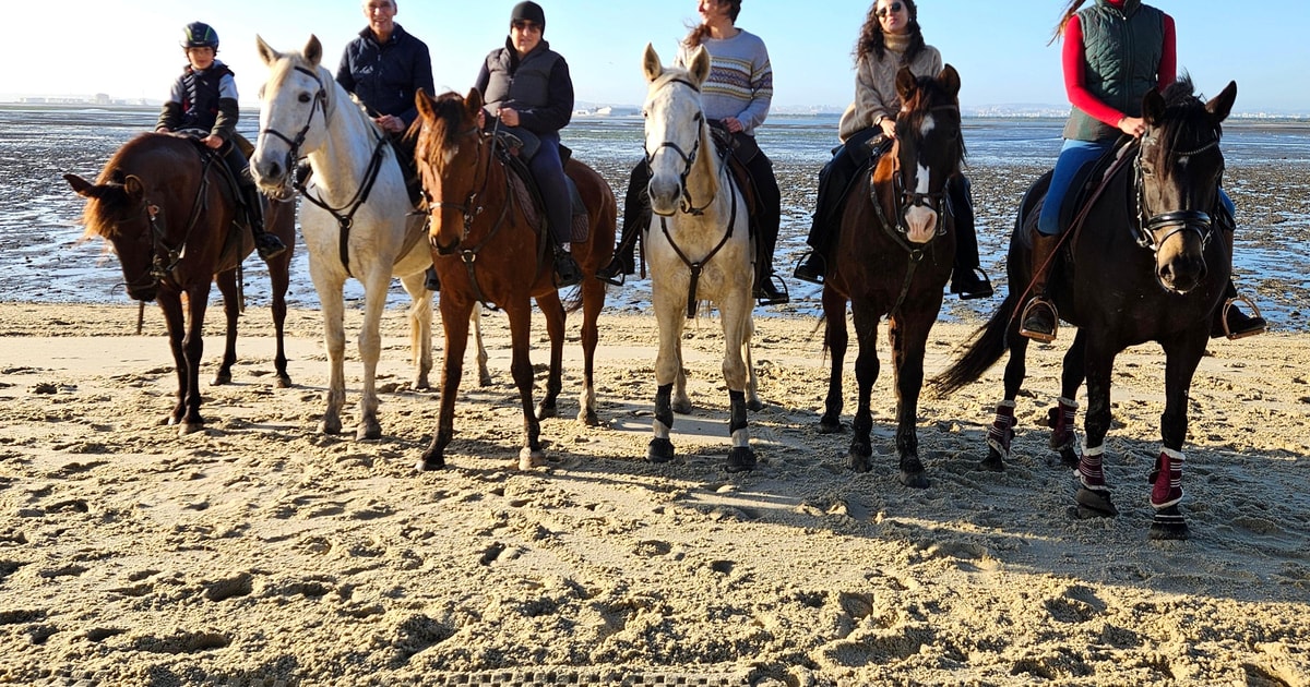 Beach horseback riding in group | GetYourGuide