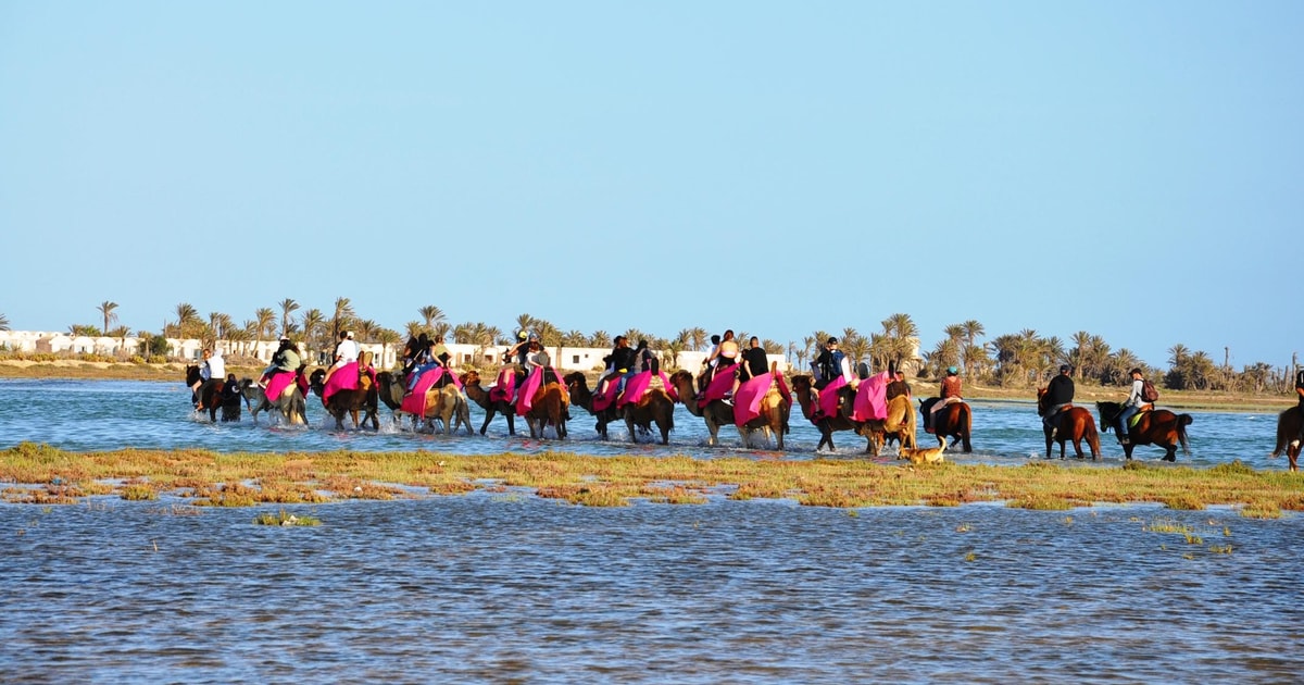 DJERBA CAMELLO Y CABALLO : CARAVANA (2H30). | GetYourGuide
