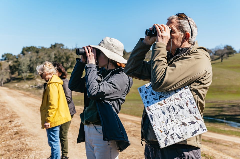 San Luis Obispo: Santa Lucia Guided Nature Tour by Hummer | GetYourGuide