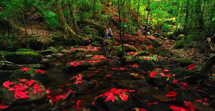 Un Senderismo De 3 Días Y 2 Noches En El Parque Nacional De Phu