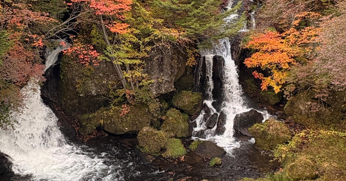 Tokio: 3 Tage Nikko, Tokio und Mt. Fuji-Tour mit Guide | GetYourGuide