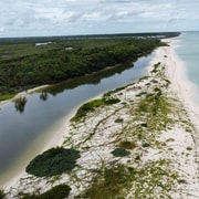 Merida: Sisal Kayak Through Mangroves and Bird Watching Tour | GetYourGuide