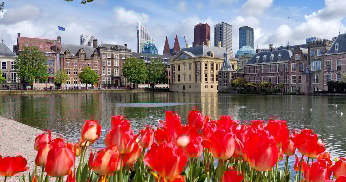 Private Tour zur Erstellung visueller Inhalte in Den Haag | GetYourGuide