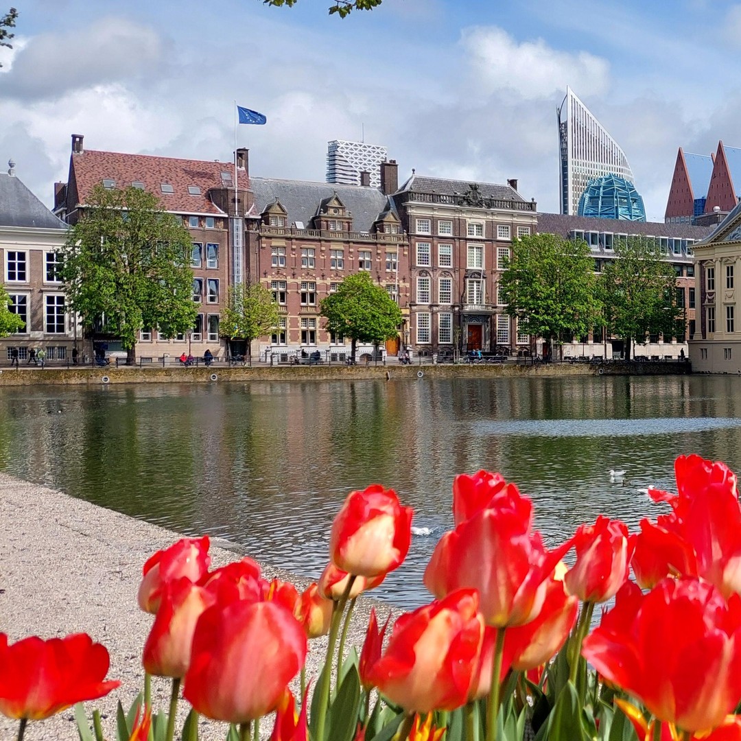 The Hague: History & Architecture Walk | GetYourGuide