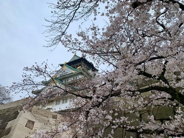 Osaka: Guided Walking Tour with a Native Expert – Top Sights | GetYourGuide