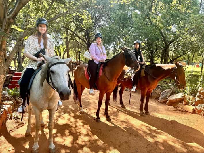 From Johannesburg: Horse-Riding Safari and Cable Car Tour | GetYourGuide