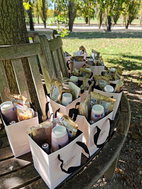 Paris: Versailles Golf Cart & Bike Tour with Palace Entry | GetYourGuide