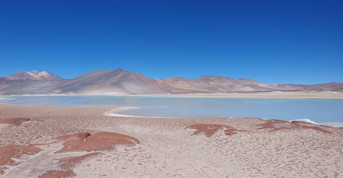 Atacama Desert: Red Rocks and Altiplanic Lagoons Tour | GetYourGuide