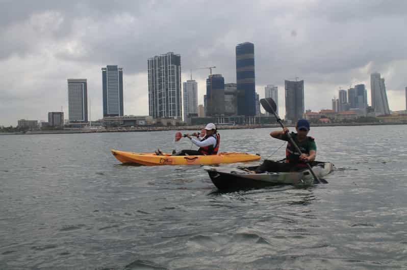 Kayaking in Port City | GetYourGuide