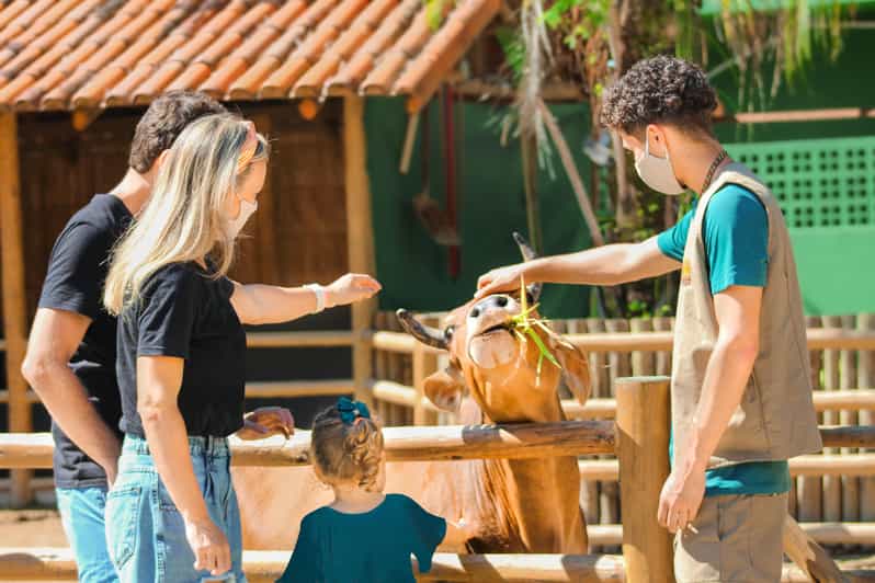 Río de Janeiro: BioParque de Río Entradas (Zoo) | GetYourGuide
