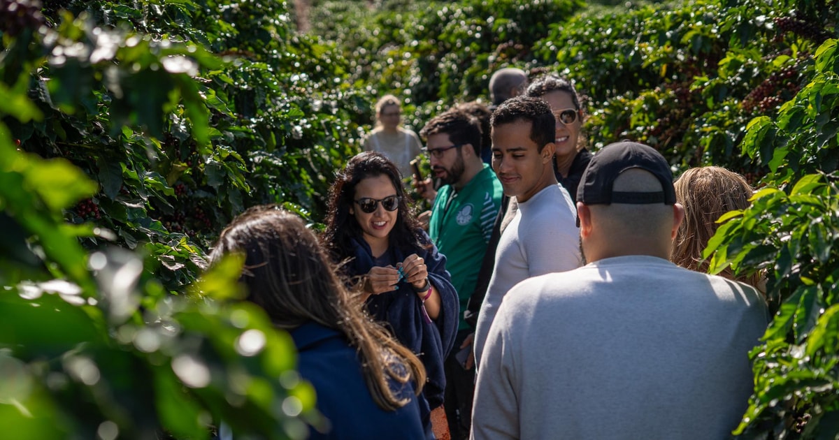 Andradas: An immersive experience through the world of coffee, from ...