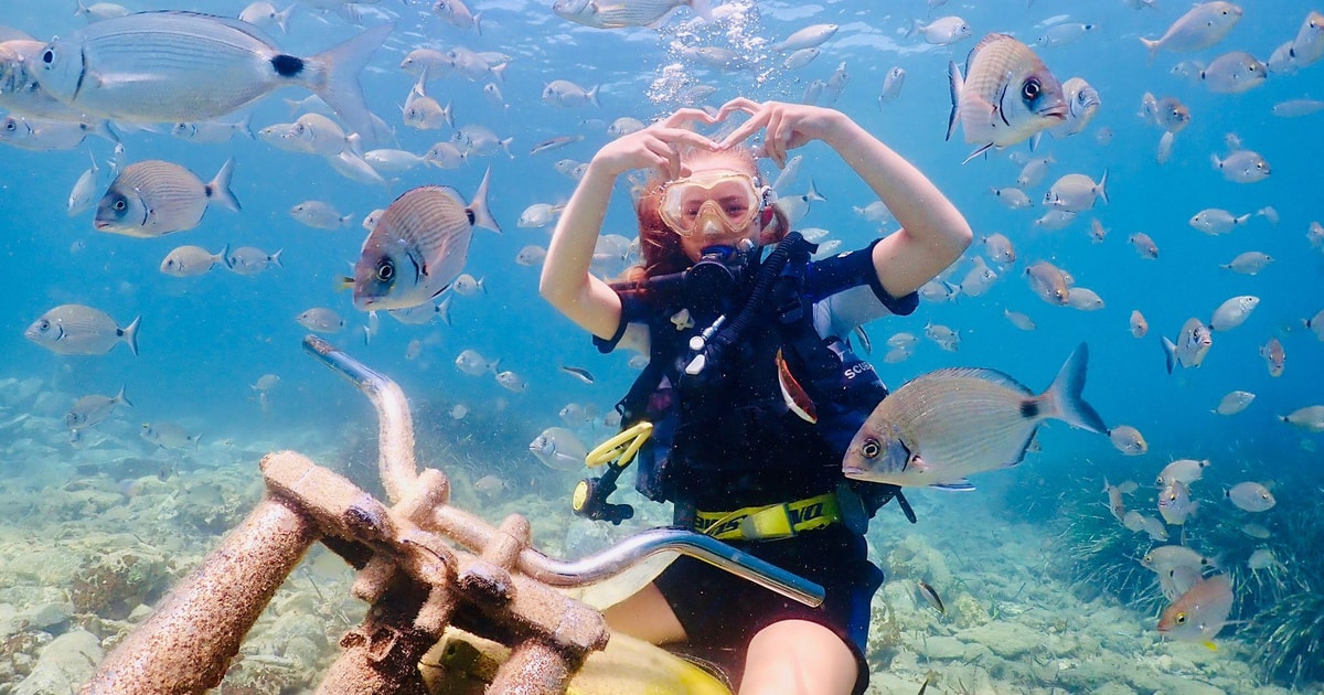 Kusadasi: Scuba Diving for Beginner or Expert Diver w/ Lunch | GetYourGuide