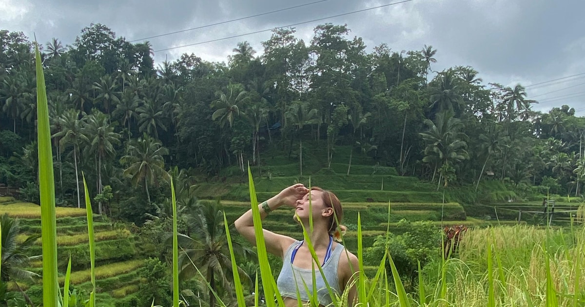 Monkey Forest, Waterfall ,Temple and Rice Terrace | GetYourGuide