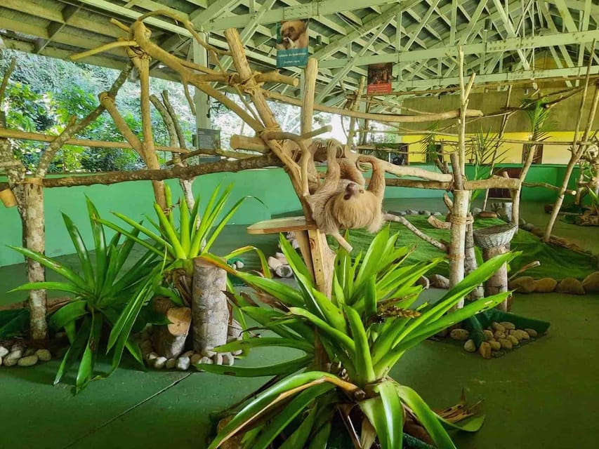 2-Day Tour Combo: Monkey & Sloth + Embera Tribe | GetYourGuide
