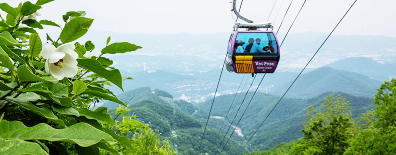 Balwangsan Cable Car & Samyang Ranch One Day Tour | GetYourGuide