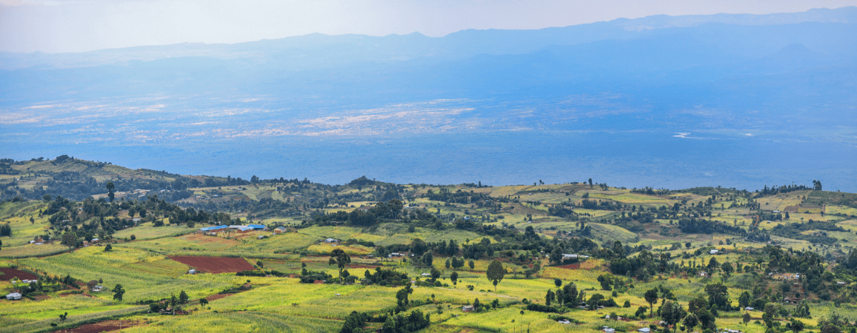 Maasai Mara Magic:3-day Safari adventure | GetYourGuide