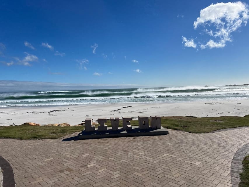 Full-Day Private Cape Town’s Most Beautiful Beaches Tour | GetYourGuide