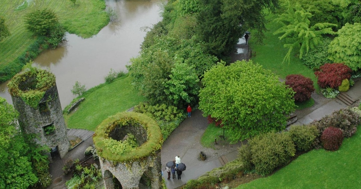 Cobh: Cork, Fota Island, and Blarney Castle Tour | GetYourGuide