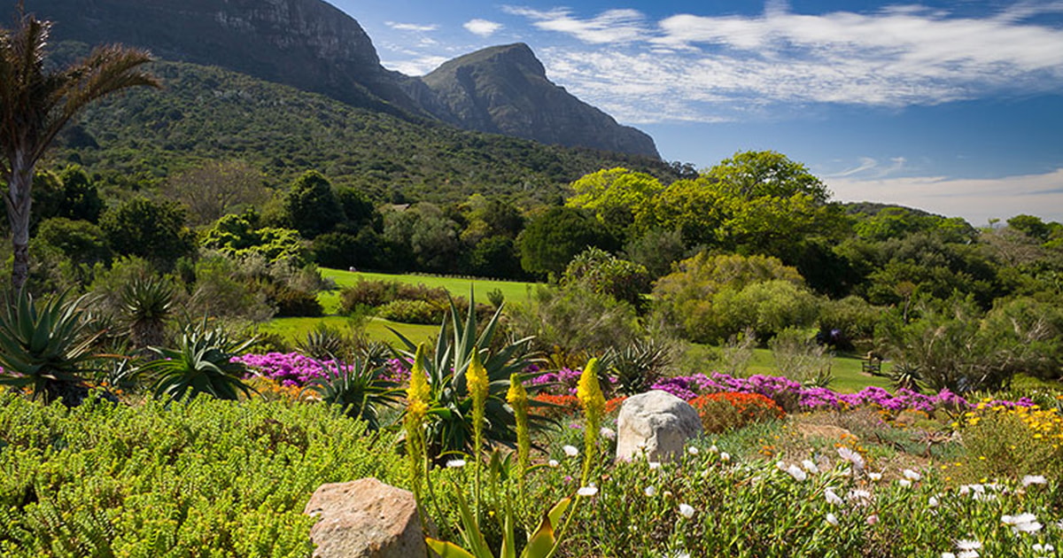 privat-tur-til-den-botaniske-have-og-groot-constantia-wineries