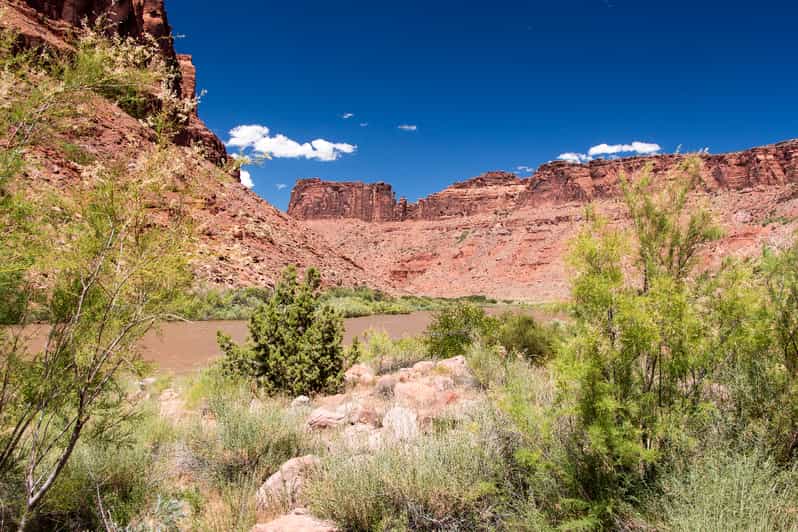 Salt Lake City & La Sal: Self-Guided Walking & Driving Tour | GetYourGuide
