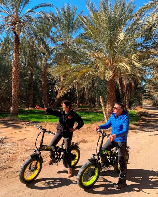 Découverte de Tozeur en mountain bike-VTT fatbike electrique | GetYourGuide